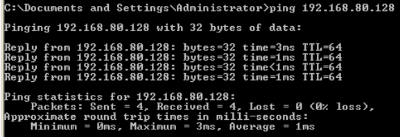 RPC-exploit - MS08-067 | Zedsich's Blog